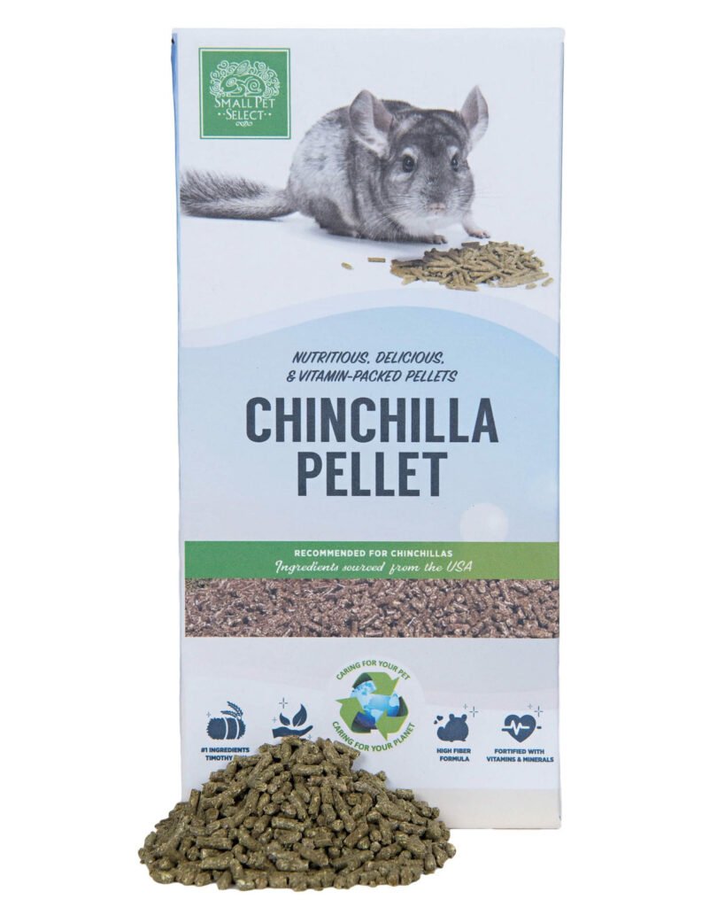 How to Create a Balanced Diet Plan for Chinchillas: Expert Tips ...